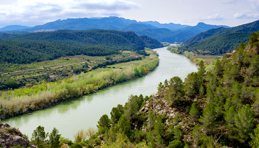 Key factors in forecasting and managing floods in rivers and urban areas